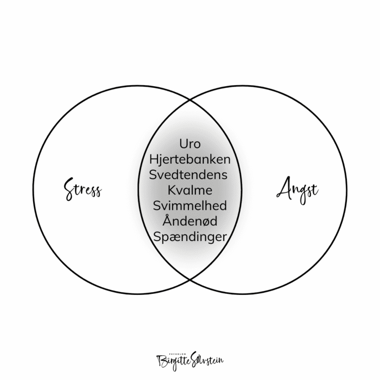 Stress og angst – om symptomer, forskelle og hvad du kan gøre
